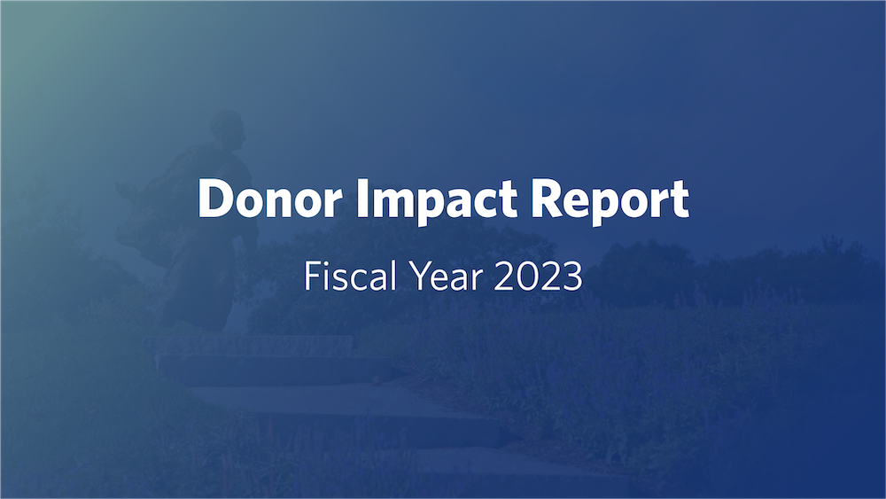 Donor Impact Report