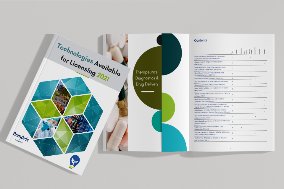 Brandeis Innovation | Brandeis University