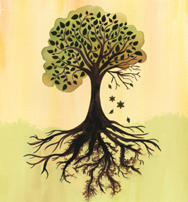 Healing Roots | Brandeis Magazine