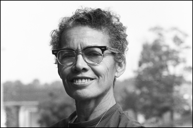 Humanities and Social Sciences | BrandeisNOW