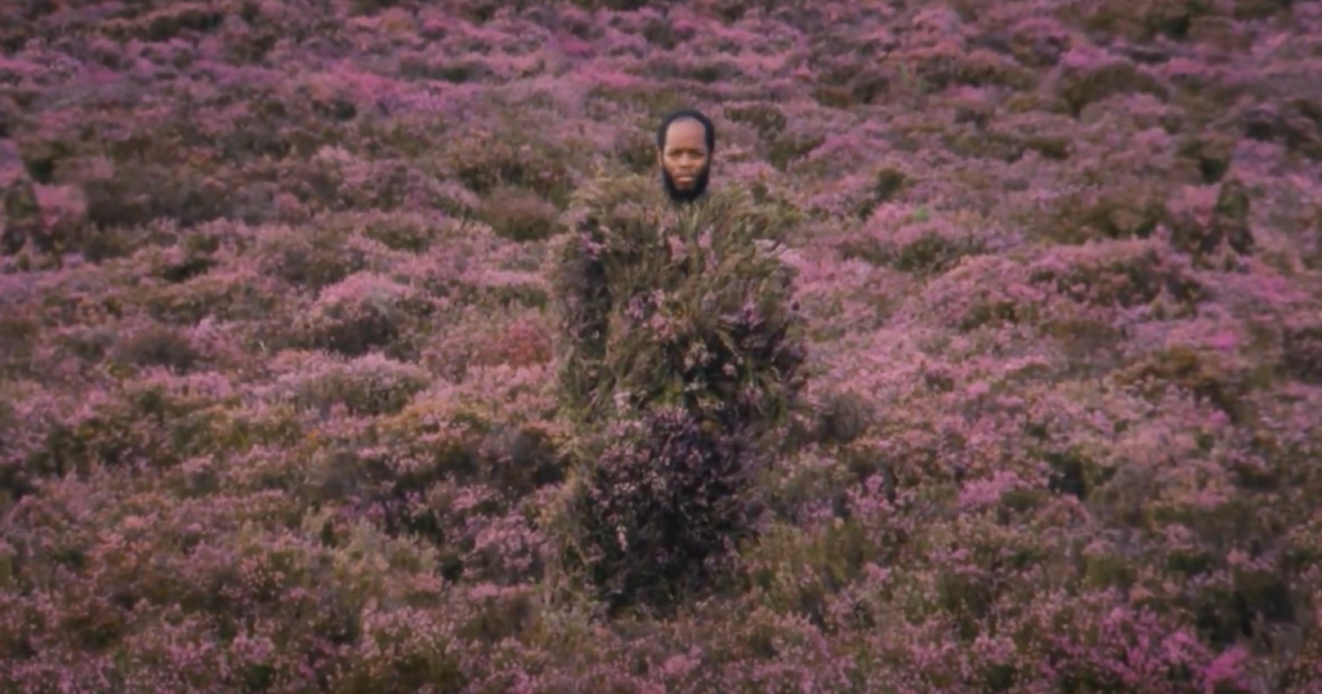 Forest of Changing Shapes Film Series: Hugh the Hunter | 2025 | Rose ...